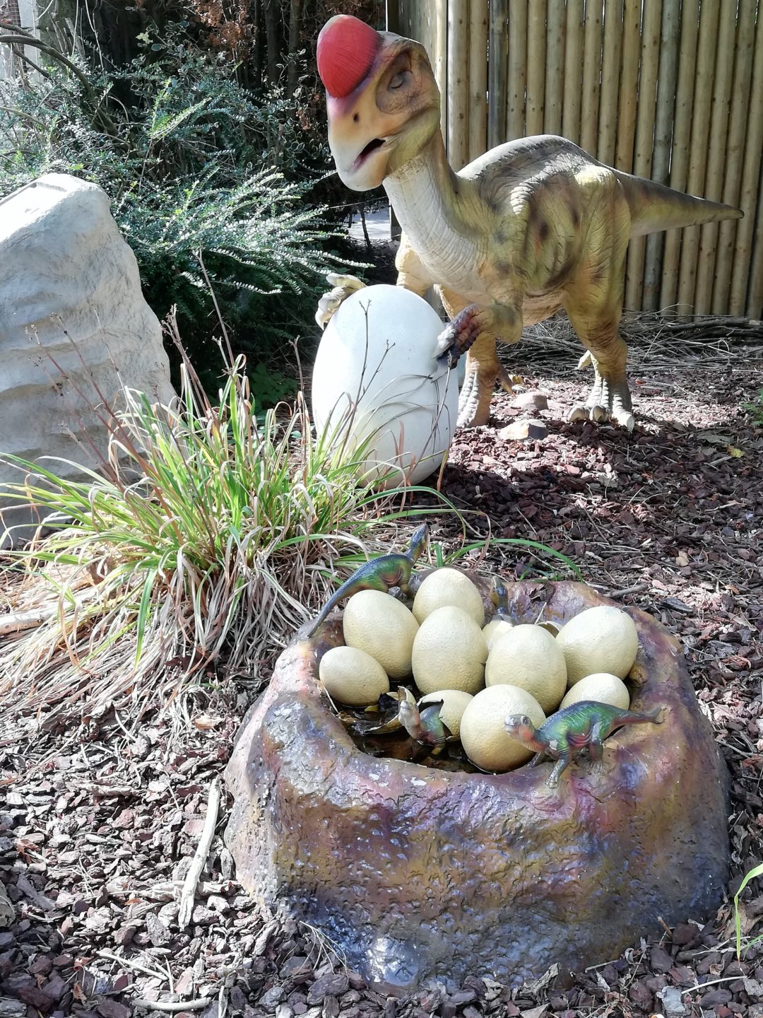 Le Mont Mosan - My Magic Moment