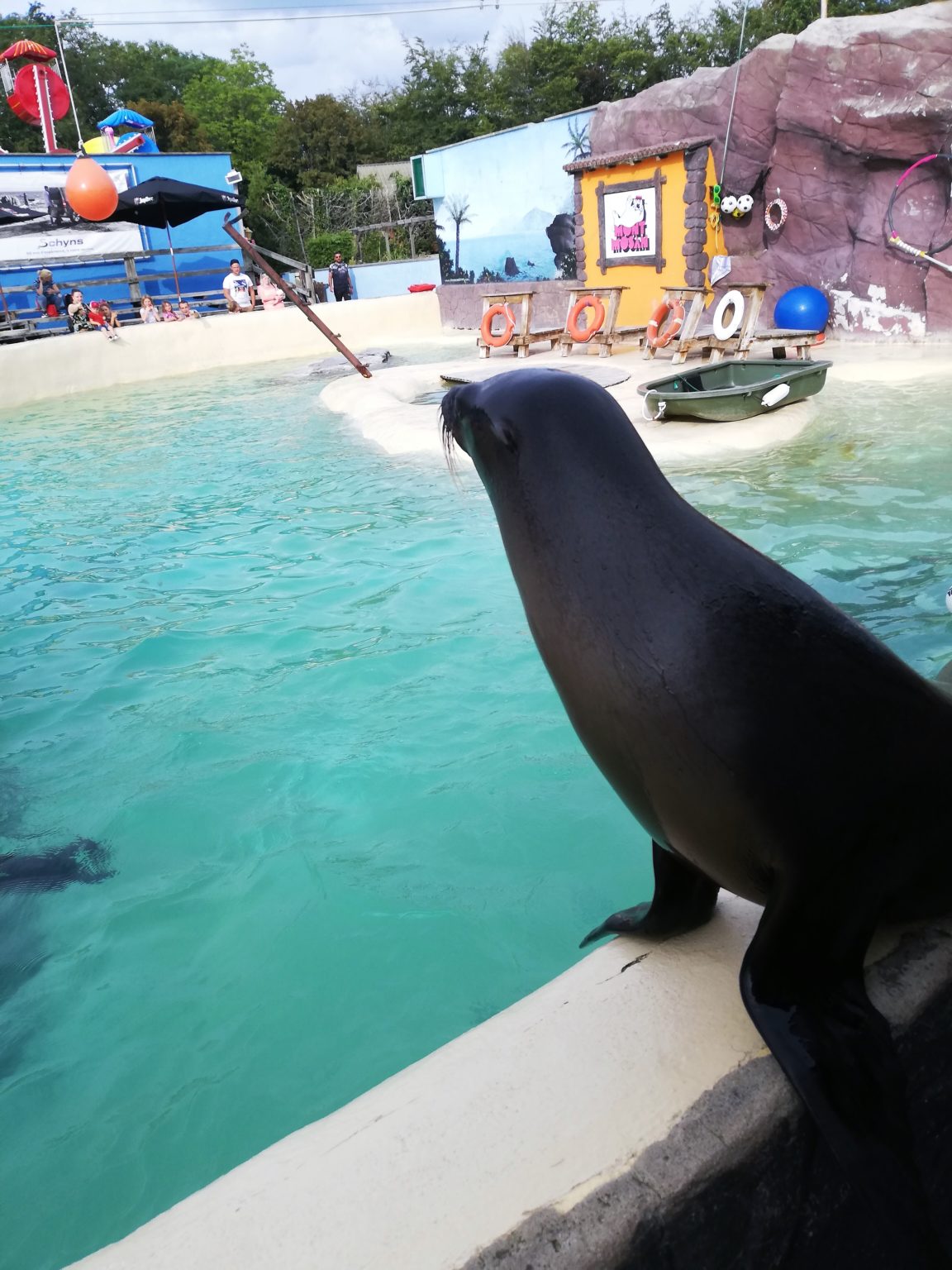 Le Mont Mosan - My Magic Moment